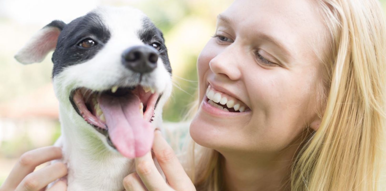 Communicating with Animals - PsychicOz